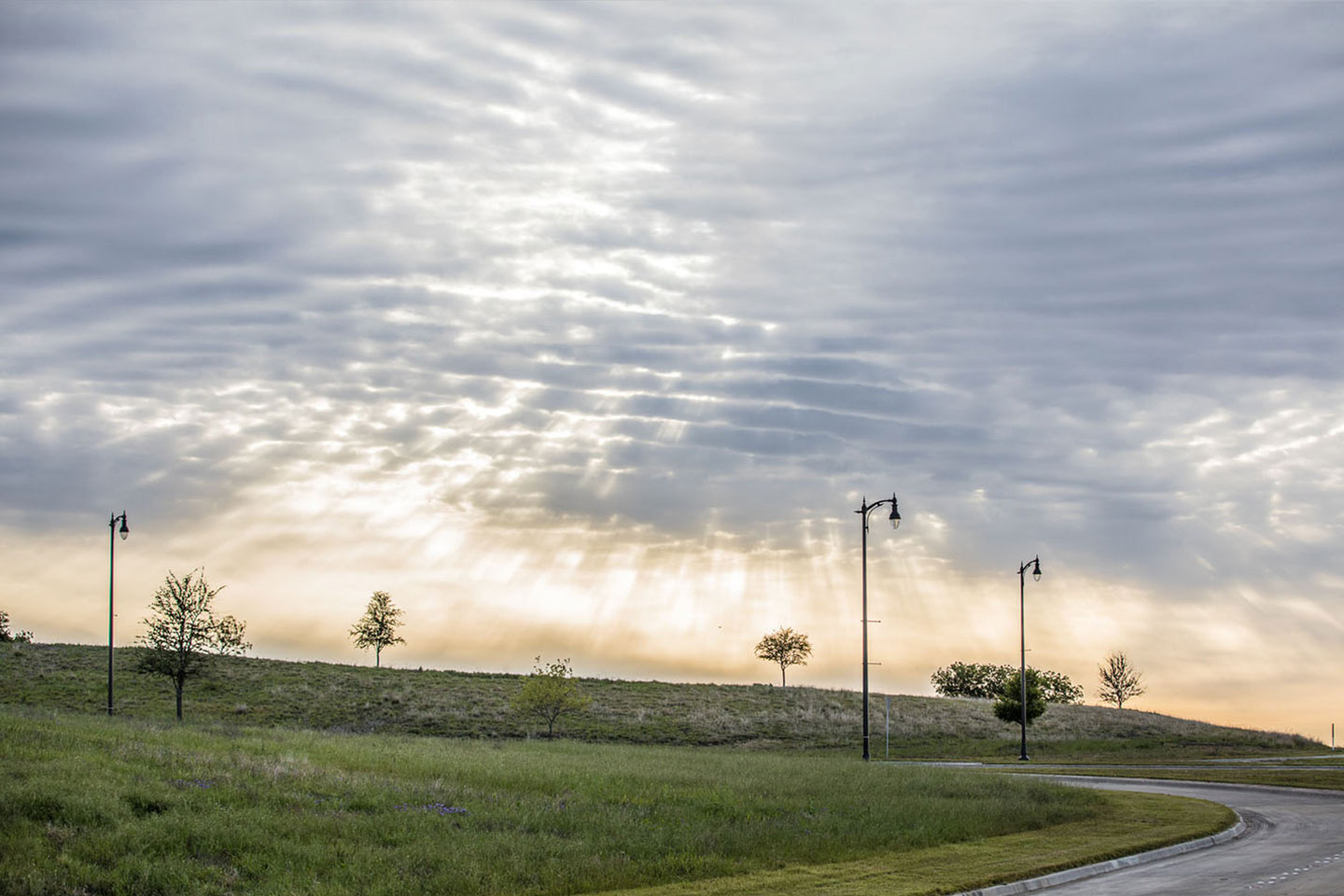 Past, Present, Future • WALSH